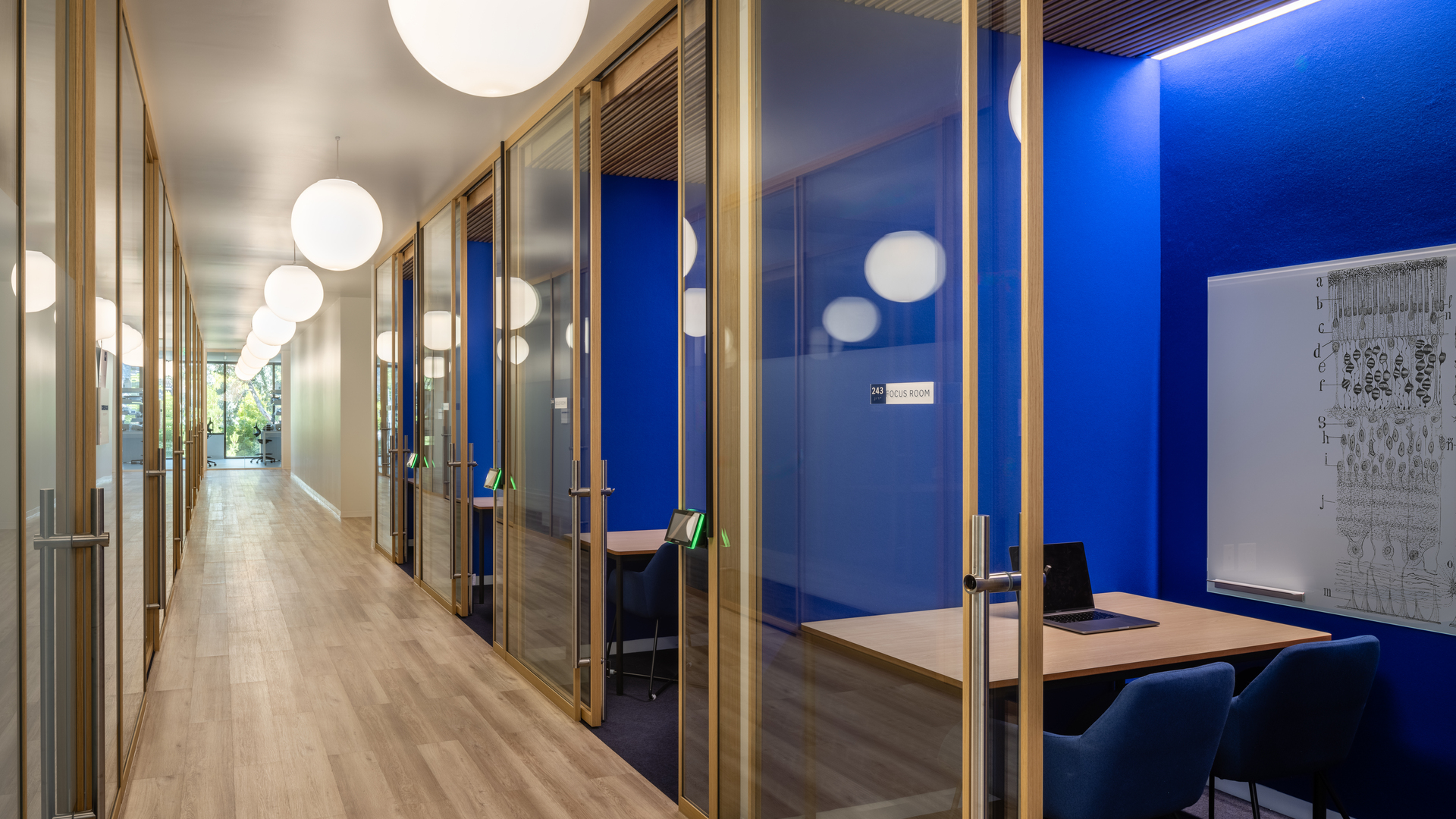 Some of Our Latest Projects | Muraflex