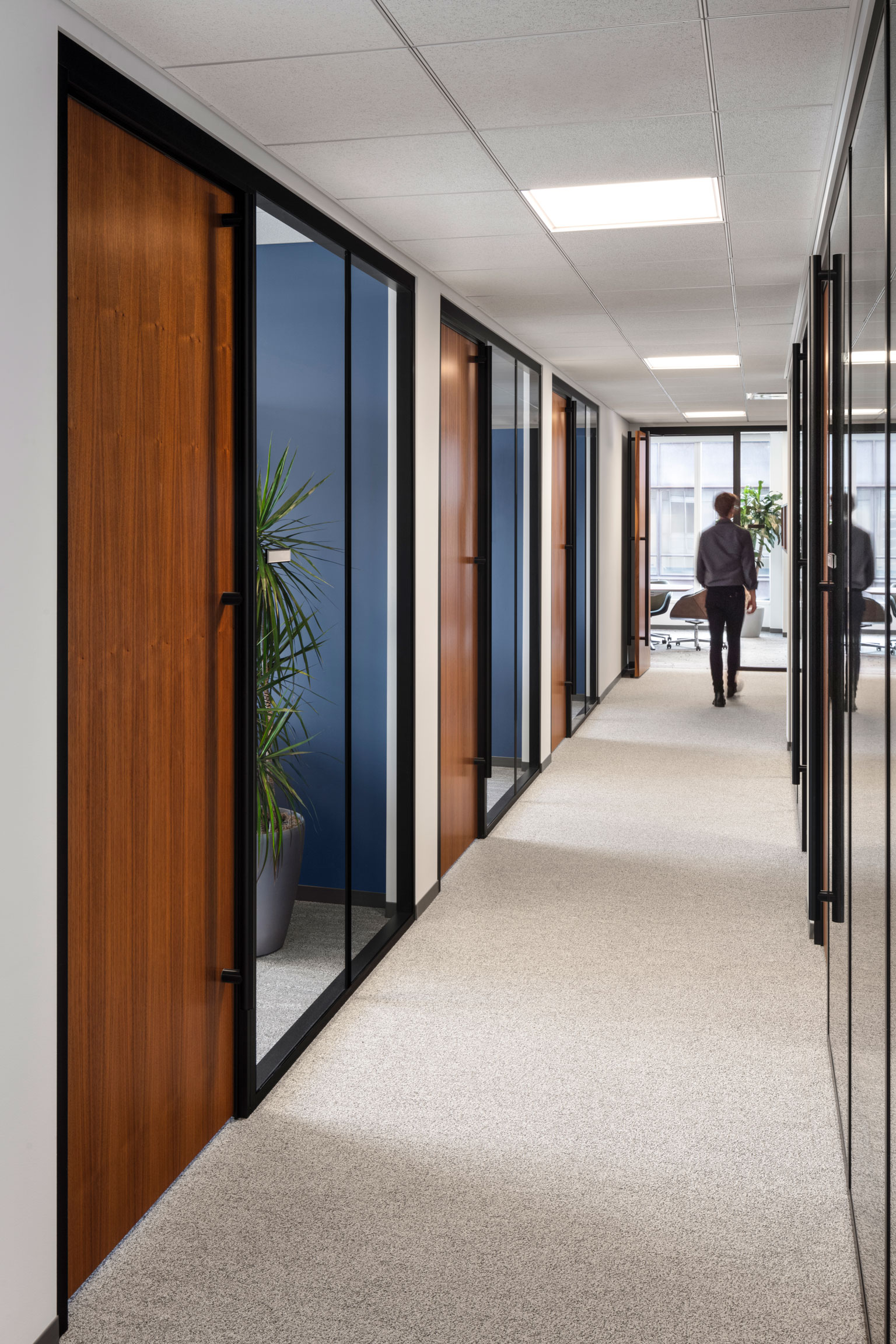 MIMO Demountable Partition System for the Modern Workplace — Muraflex