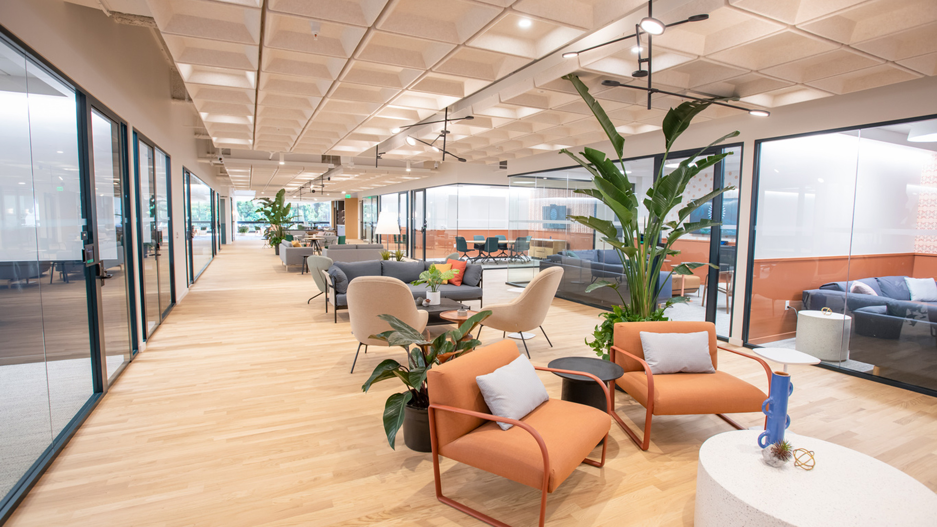 Spring: An Ideal Time to Reinvent your Workspace — Muraflex